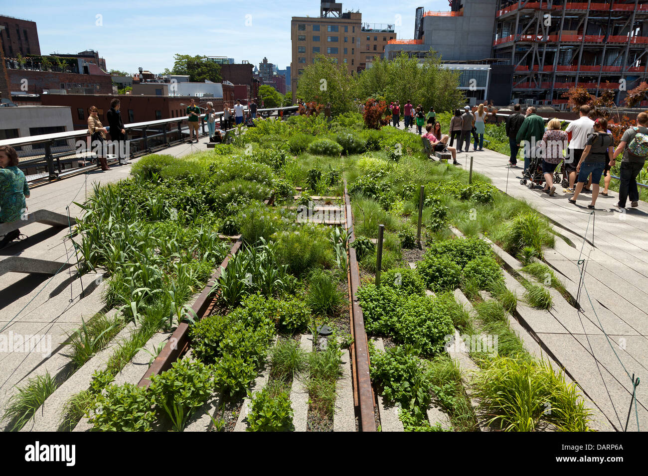 Walking on the Highline park, New York City Stock Photo - Alamy