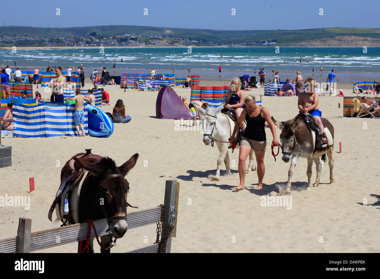 Weymouth donkey rides hi-res stock photography and images - Alamy