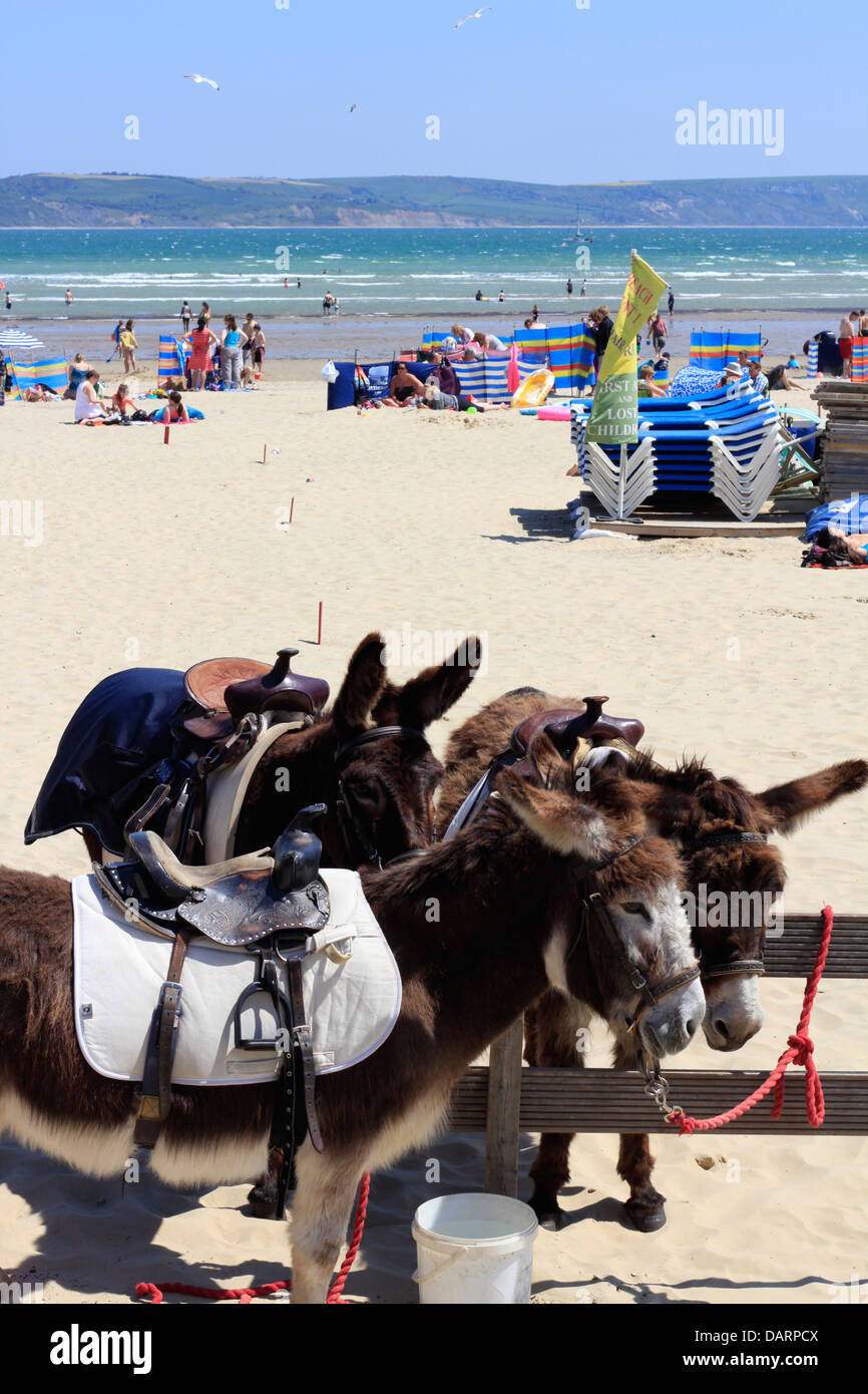 Weymouth donkey hi-res stock photography and images - Alamy