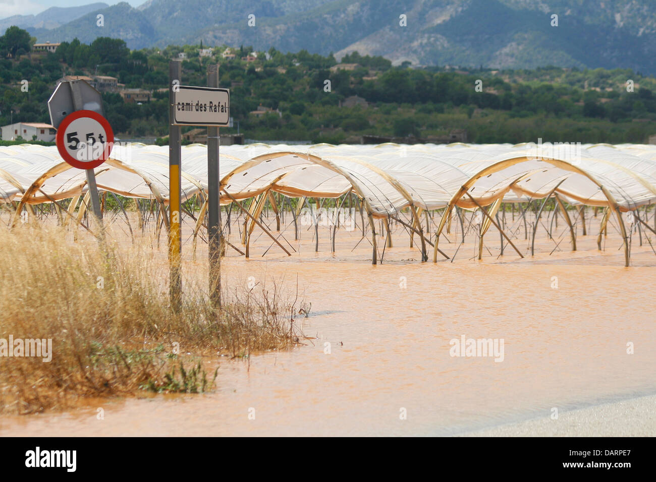 Flooded fields near the village of Sa Pobla, in the Spanish island of ...