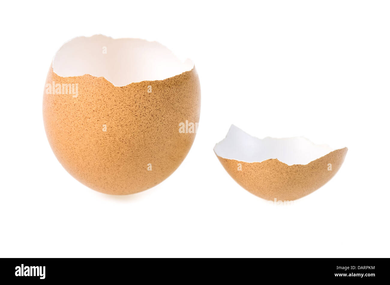 two halves of an eggshell on white background Stock Photo - Alamy