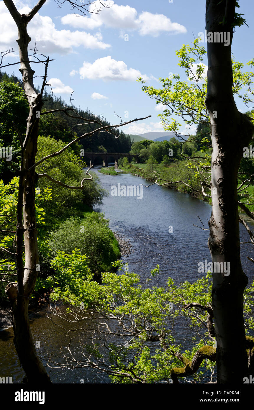 Salmon fishing river tweed fly hi-res stock photography and images - Alamy