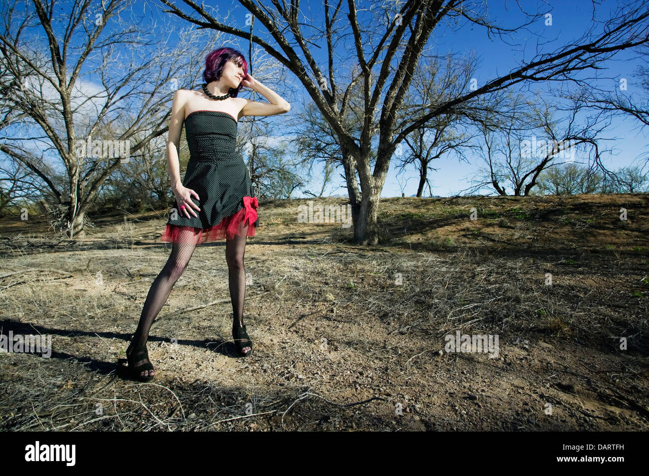 Punk fashion model Stock Photo - Alamy