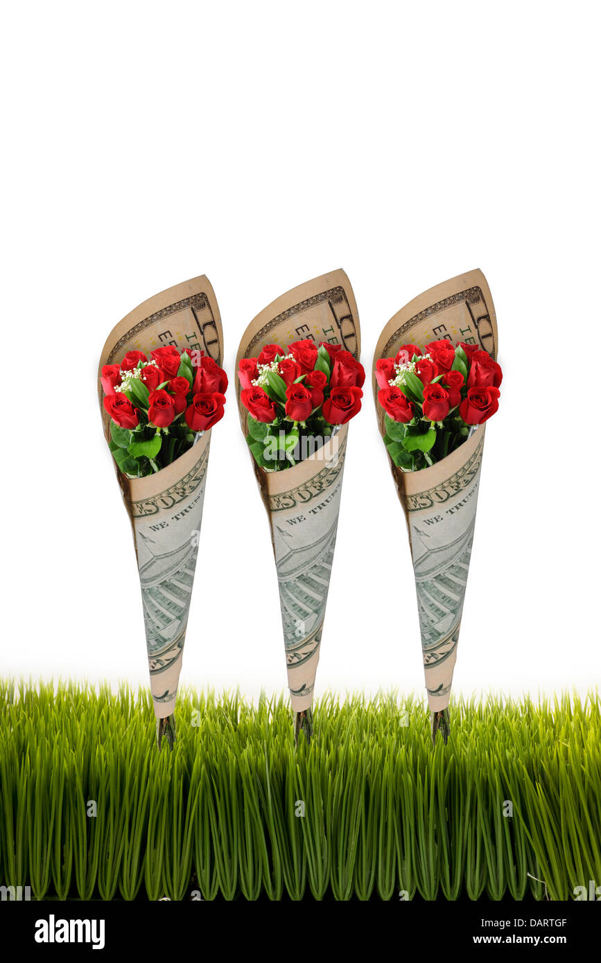 Growing Money and Roses Stock Photo - Alamy