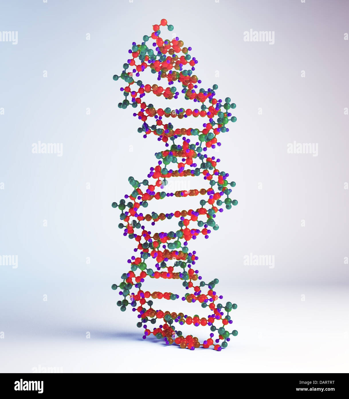 Highly detailed DNA strand model Stock Photo - Alamy