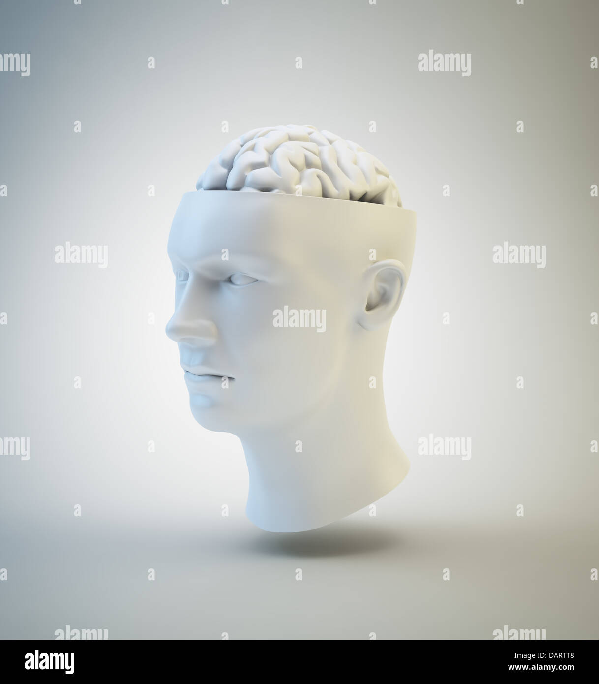 Human Intelligence and psychology concept illustration Stock Photo - Alamy