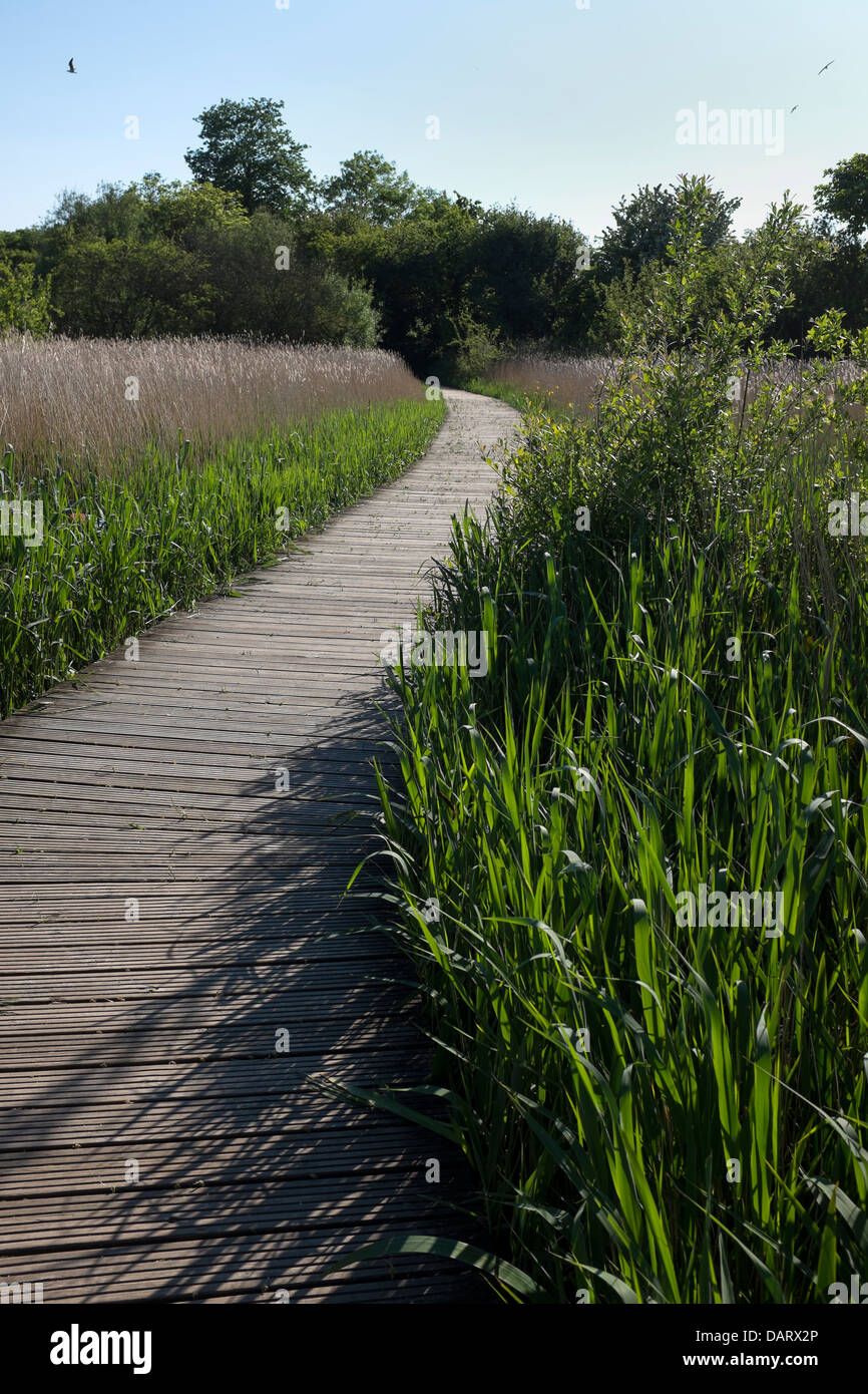 Cosmeston Lakes Country Park Stock Photo - Alamy