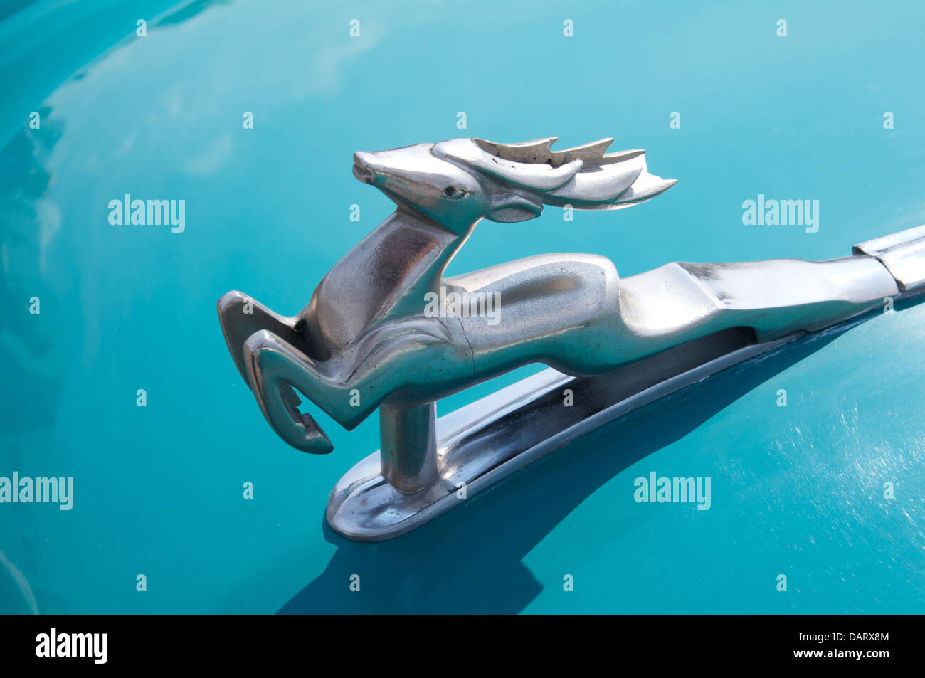 deer symbol of retro car Volga GAZ 21 Stock Photo - Alamy