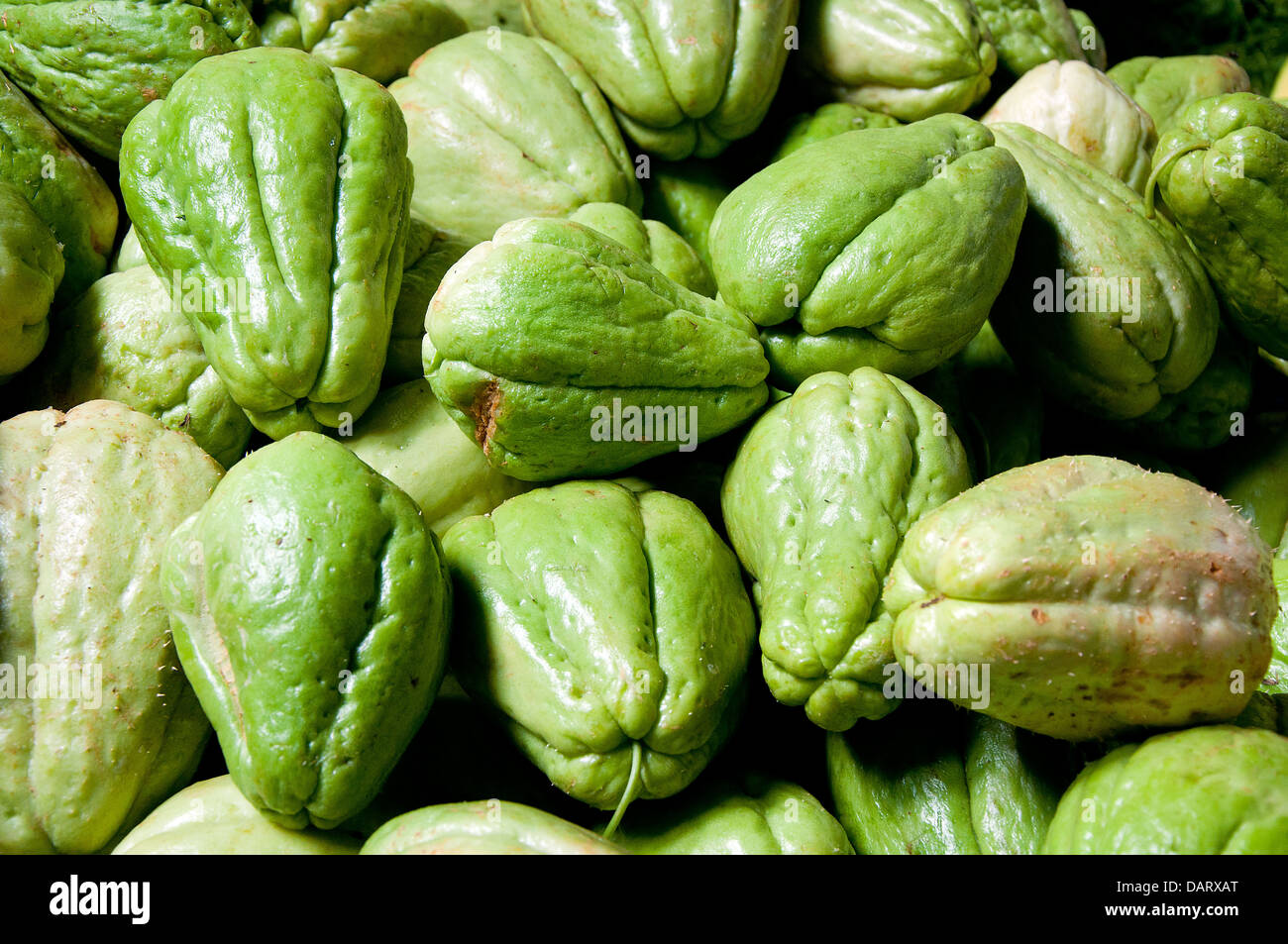 Chouchou hi-res stock photography and images - Alamy