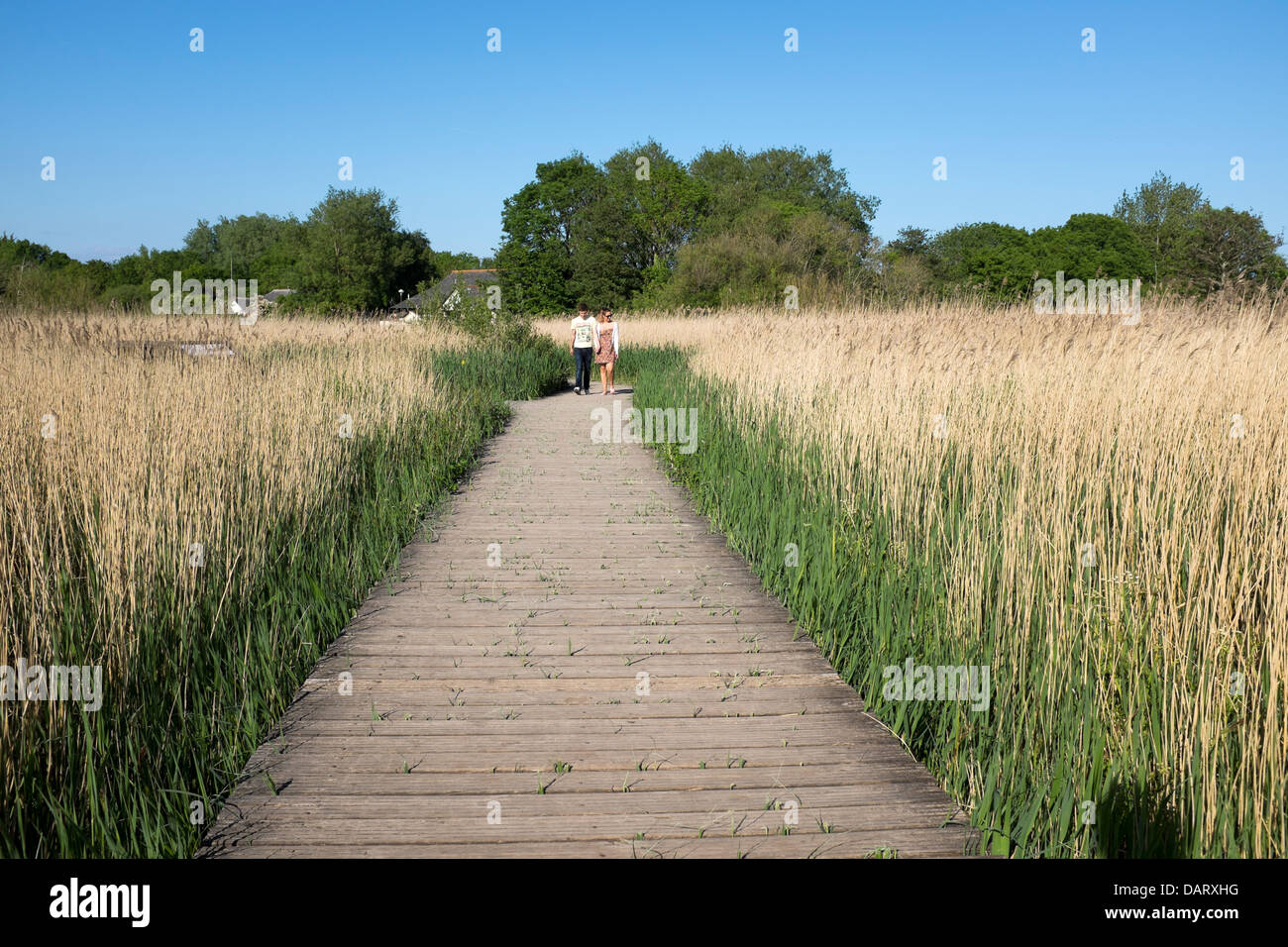 Cosmeston Lakes Country Park Stock Photo - Alamy