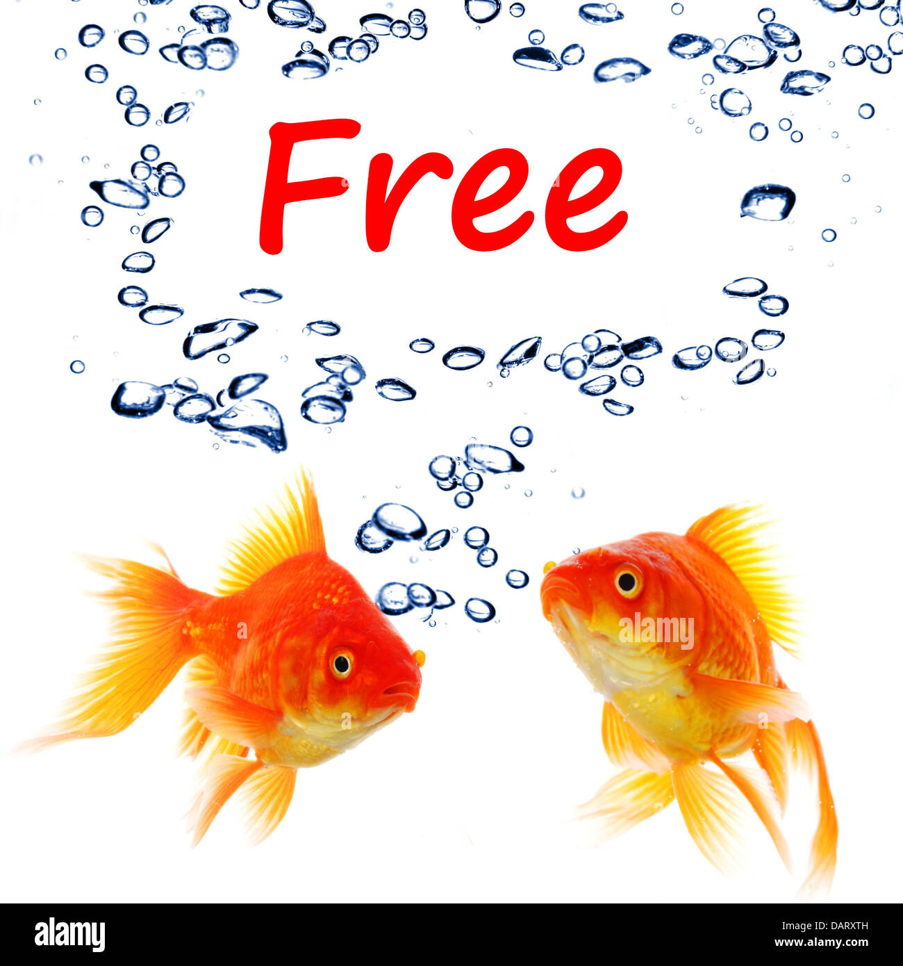 Free to sell hi-res stock photography and images - Alamy