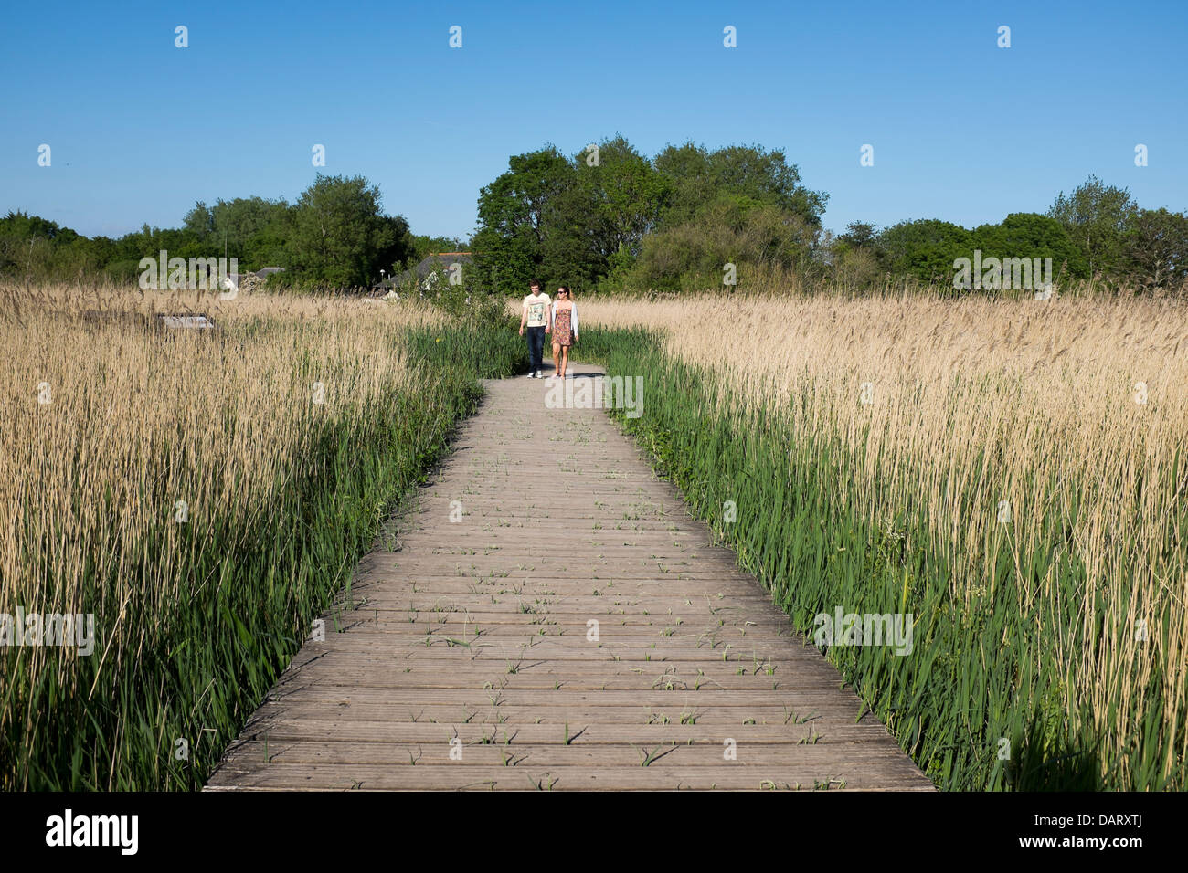 Cosmeston Lakes Country Park Stock Photo - Alamy