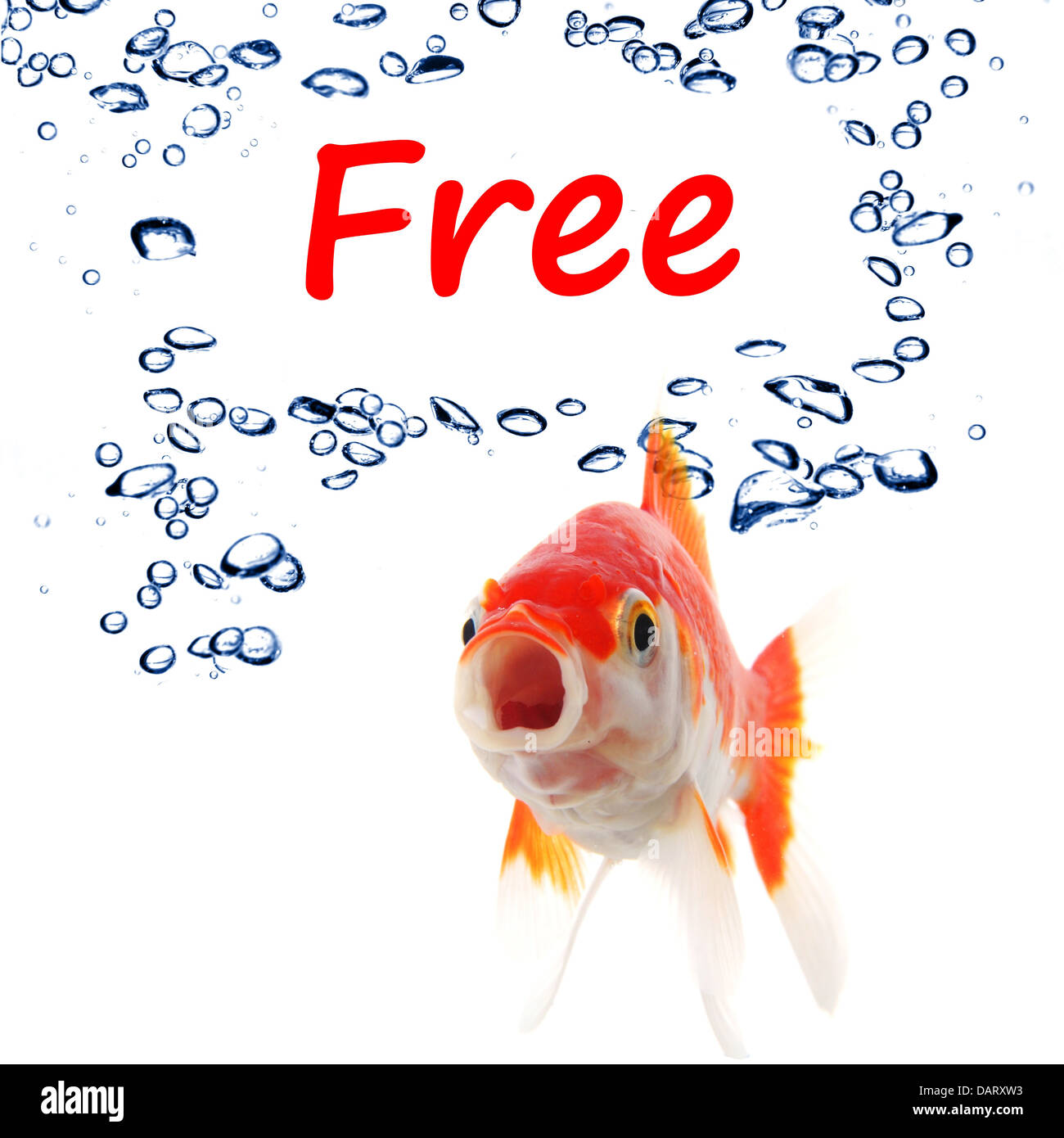 Free to sell hi-res stock photography and images - Alamy