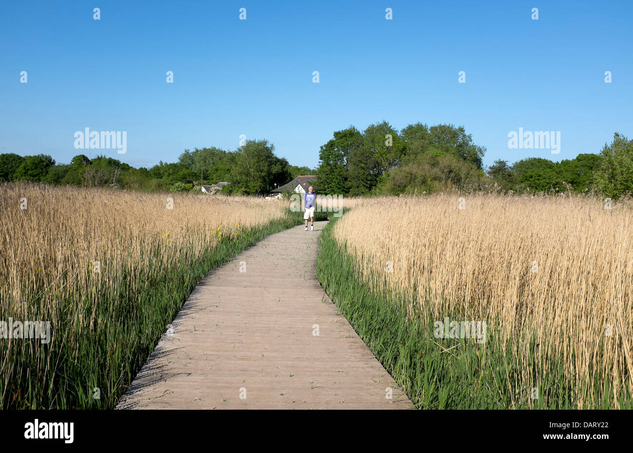 Cosmeston Lakes Country Park Stock Photo - Alamy