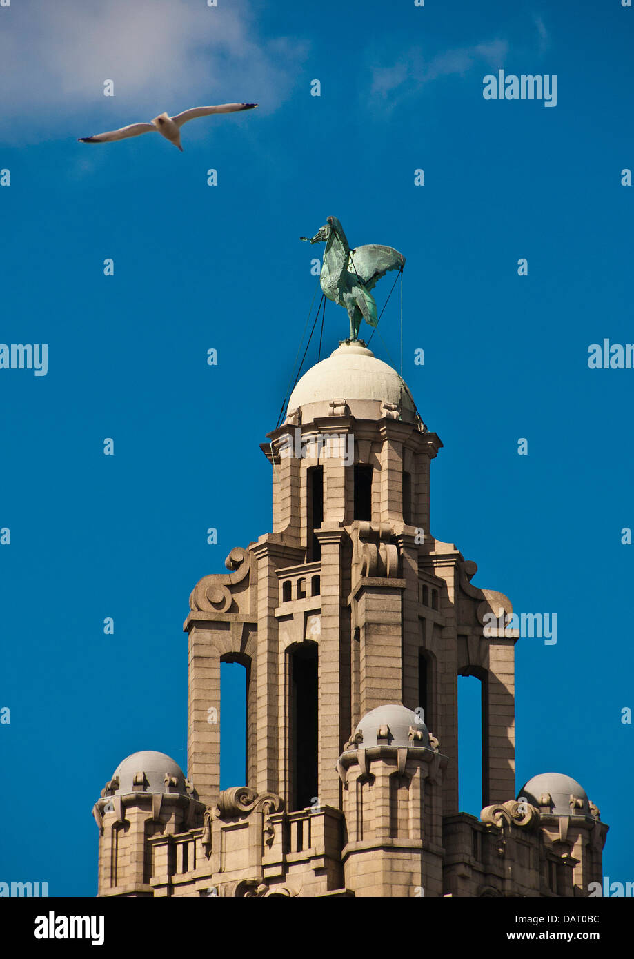 Liver bird statue hi-res stock photography and images - Alamy