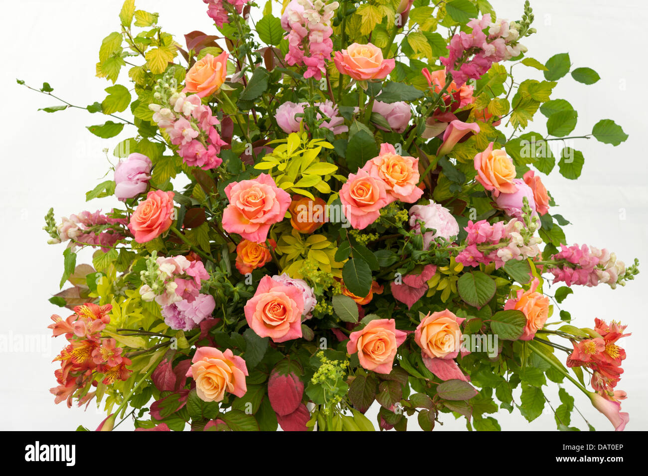 Flower Arranging Competition High Resolution Stock Photography and ...