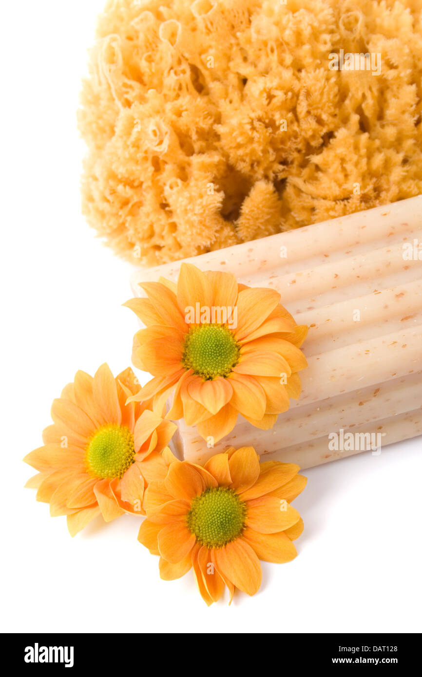 natural sponge, soap and flowers Stock Photo - Alamy