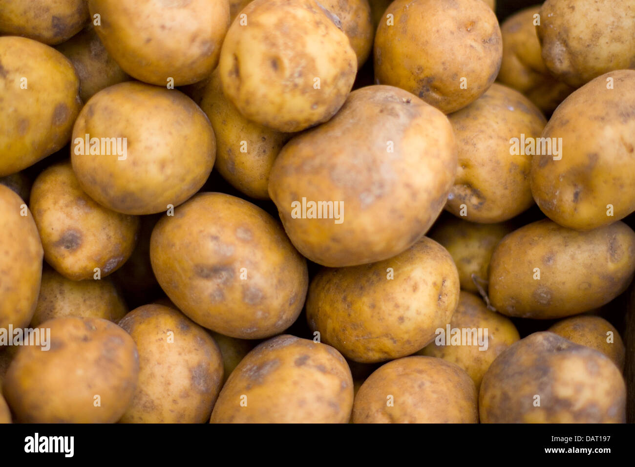 Mud mash hi-res stock photography and images - Alamy