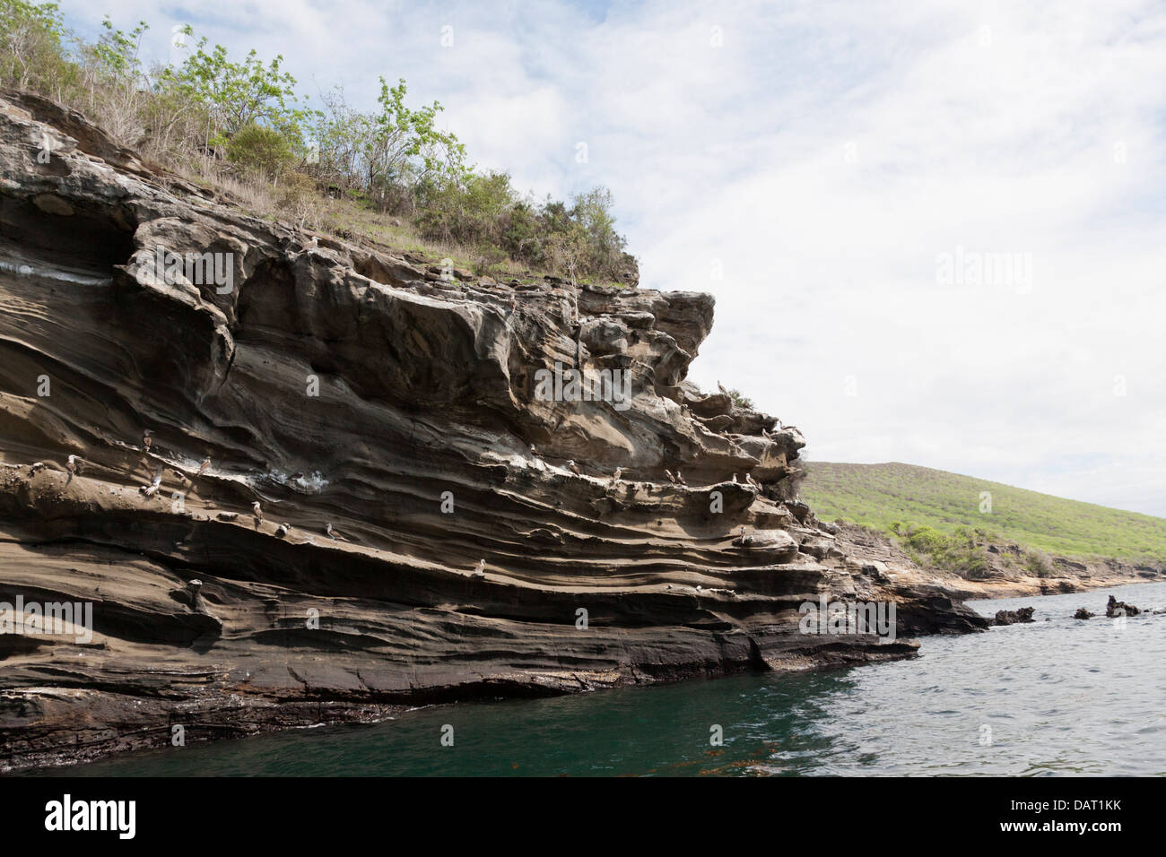 Galápagos isabela island tagus cove hi-res stock photography and images ...