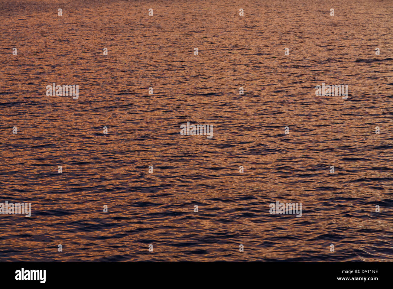 Red coloured Sea at Sunset, Isabela Island, Galapagos Islands, Ecuador ...