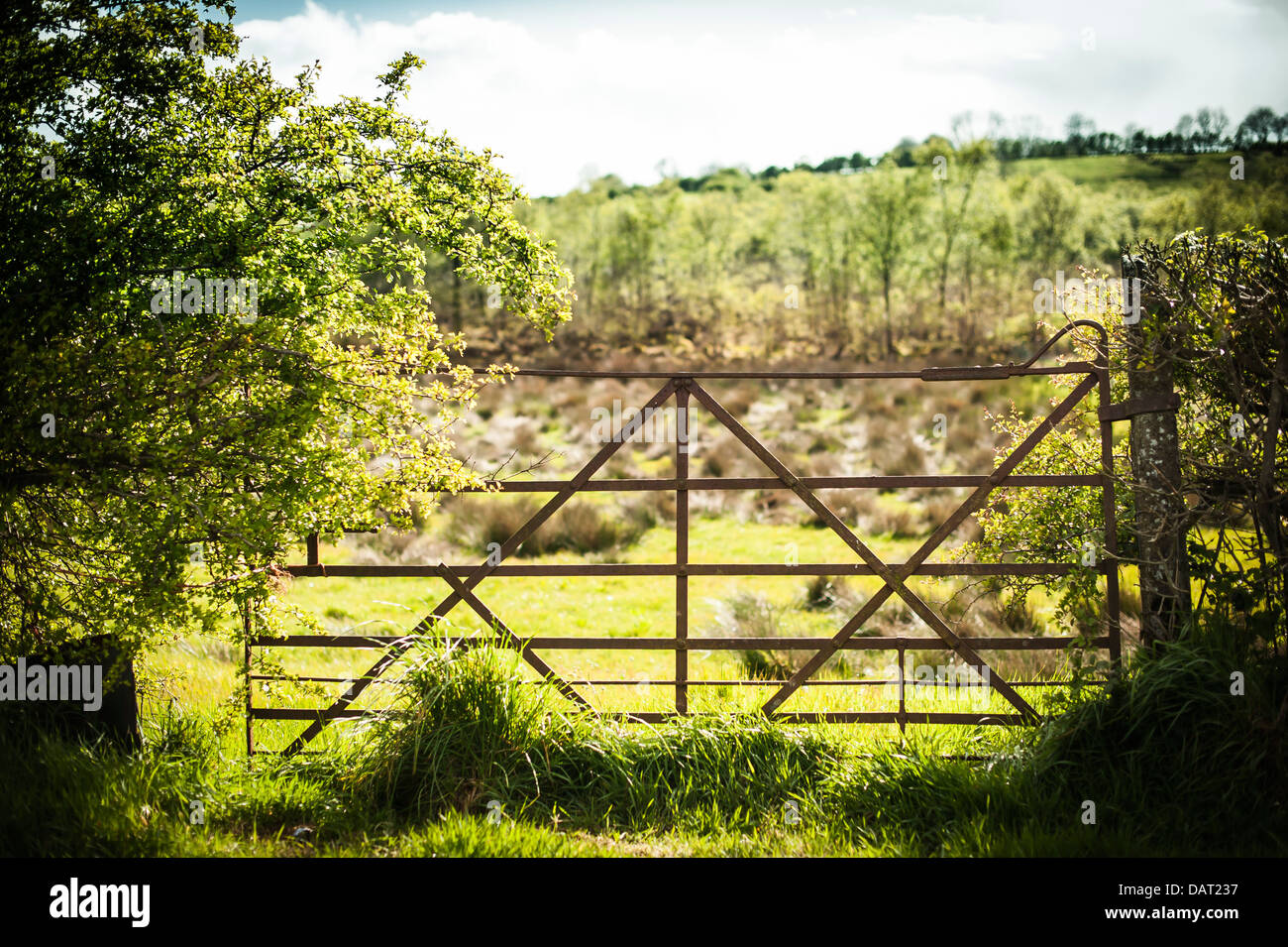Opening in hedge hi-res stock photography and images - Alamy