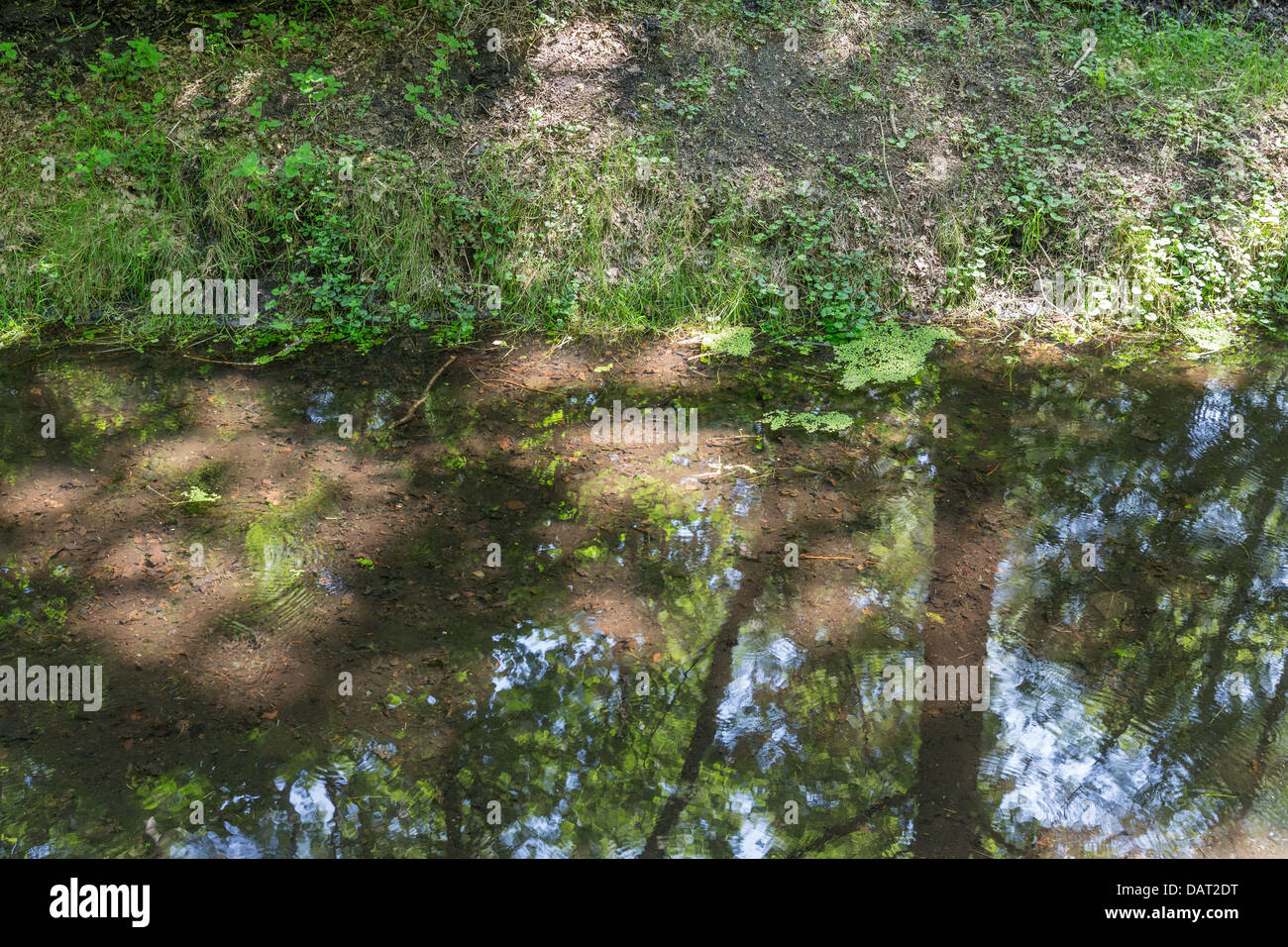 Transparent ditch with reflection of border and trees Stock Photo - Alamy