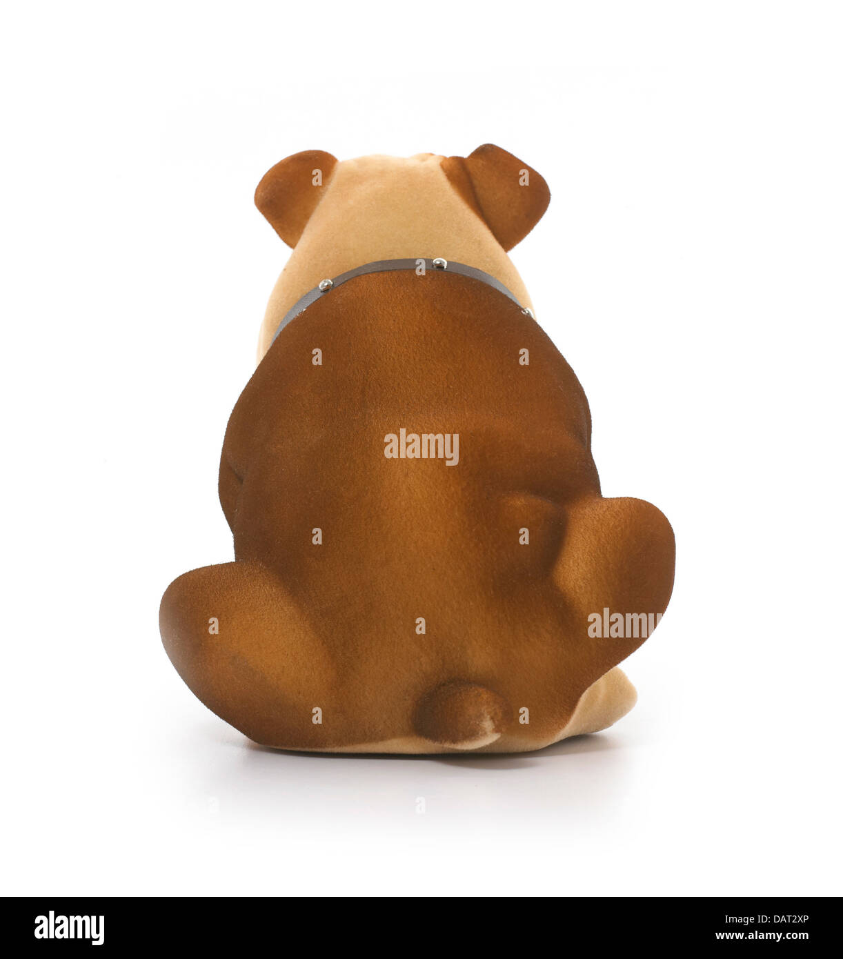 Toy dog hi-res stock photography and images - Alamy