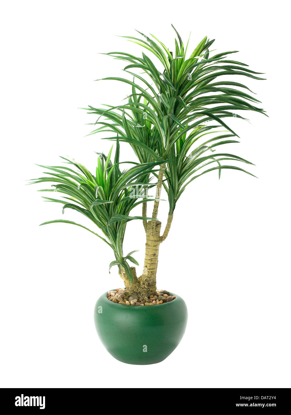 Pot plant cut out hi-res stock photography and images - Alamy