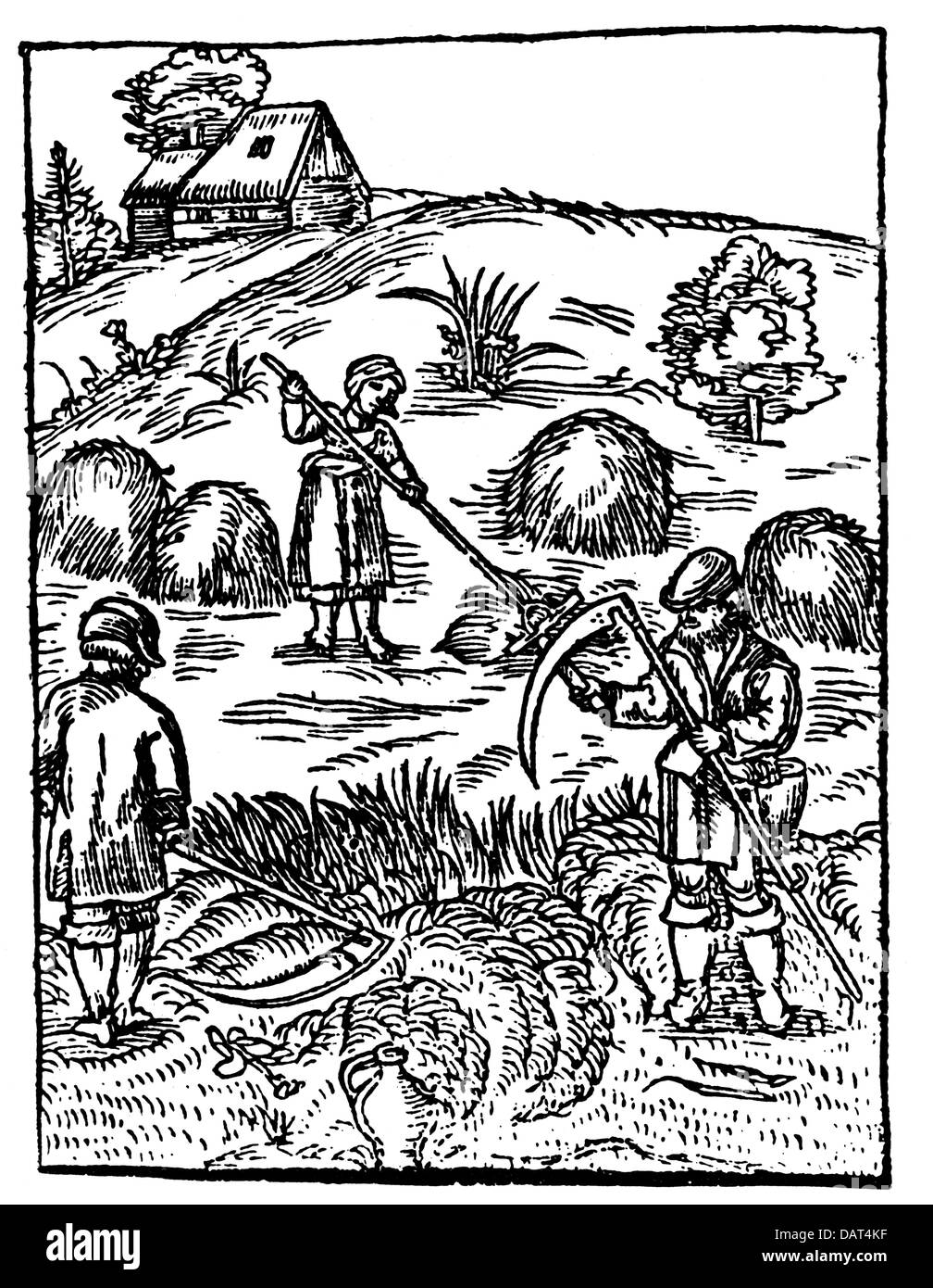 16th century woman farming hi-res stock photography and images - Alamy