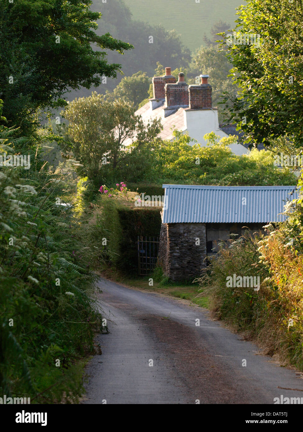 Narrow country road in Devon, UK 2013 Stock Photo - Alamy