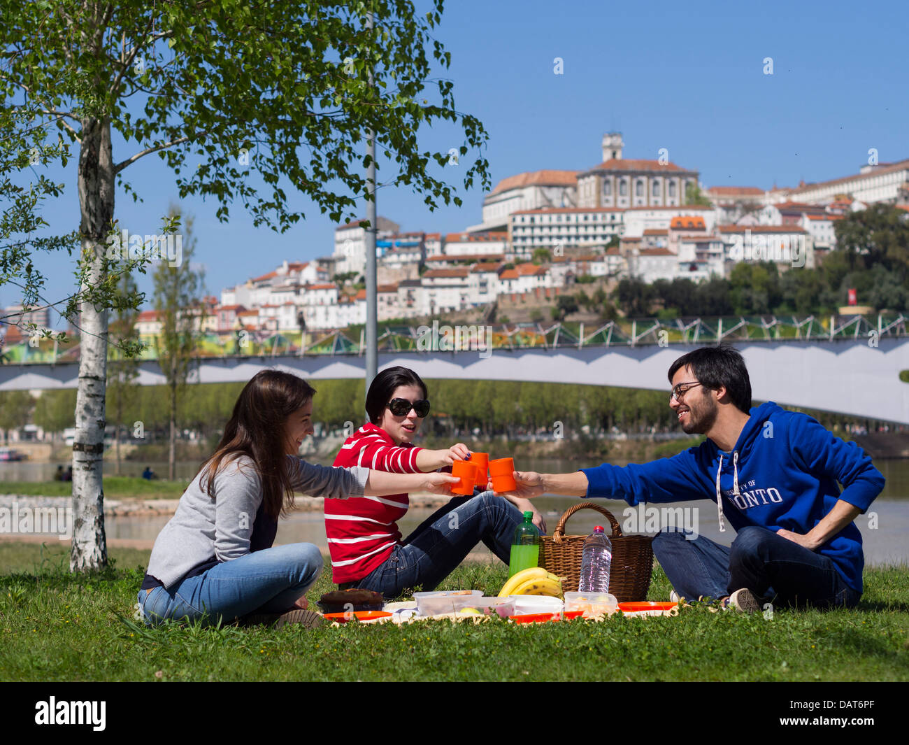 Young people having a picnic in Coimbra, Portugal, Europe Stock Photo ...