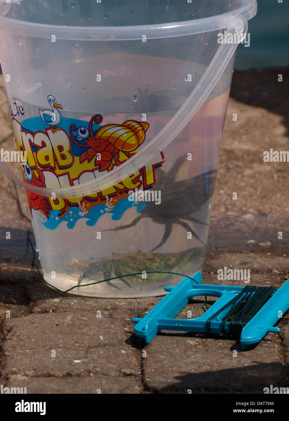 Crab catching bucket and line, Devon, UK 2013 Stock Photo - Alamy