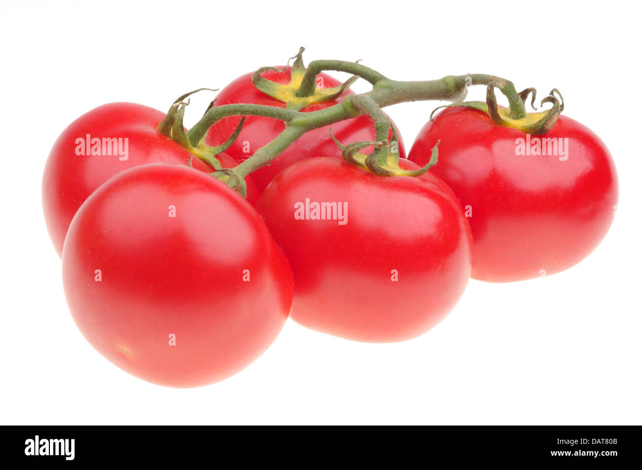 Red tomato on vine on a white background Stock Photo - Alamy