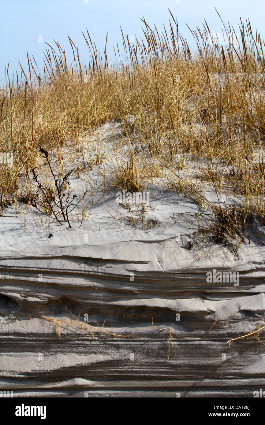 Sea Grass & Sand Cliff Stock Photo - Alamy