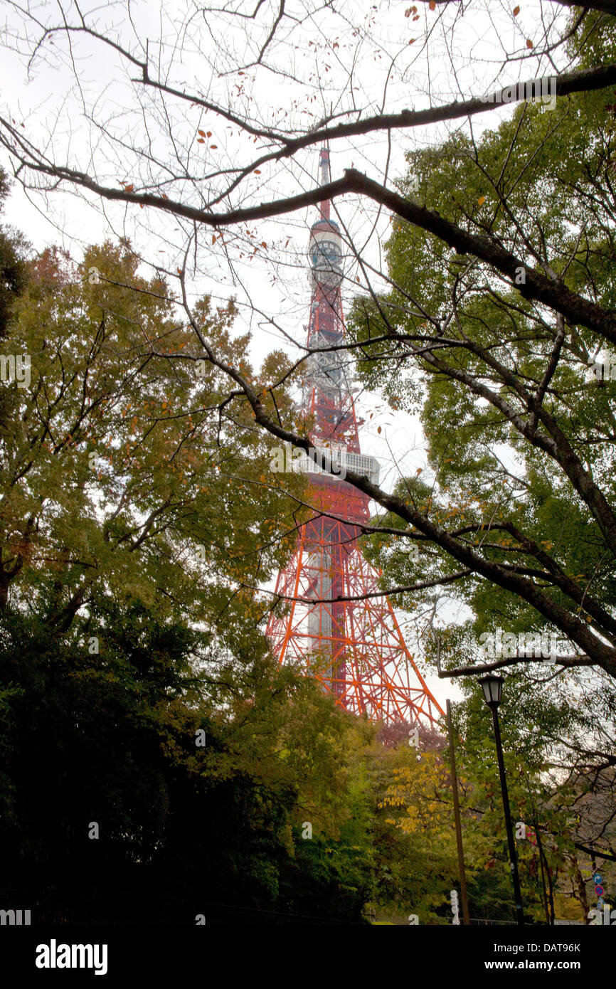 Tree tower tokyo hi-res stock photography and images - Alamy