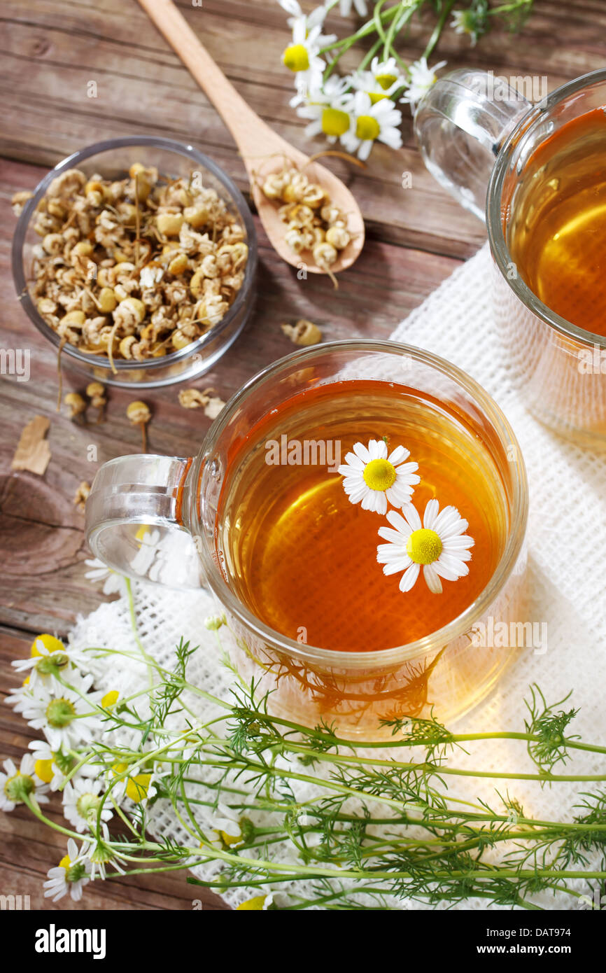 Dried and fresh and brewed Chamomile Tea Stock Photo - Alamy