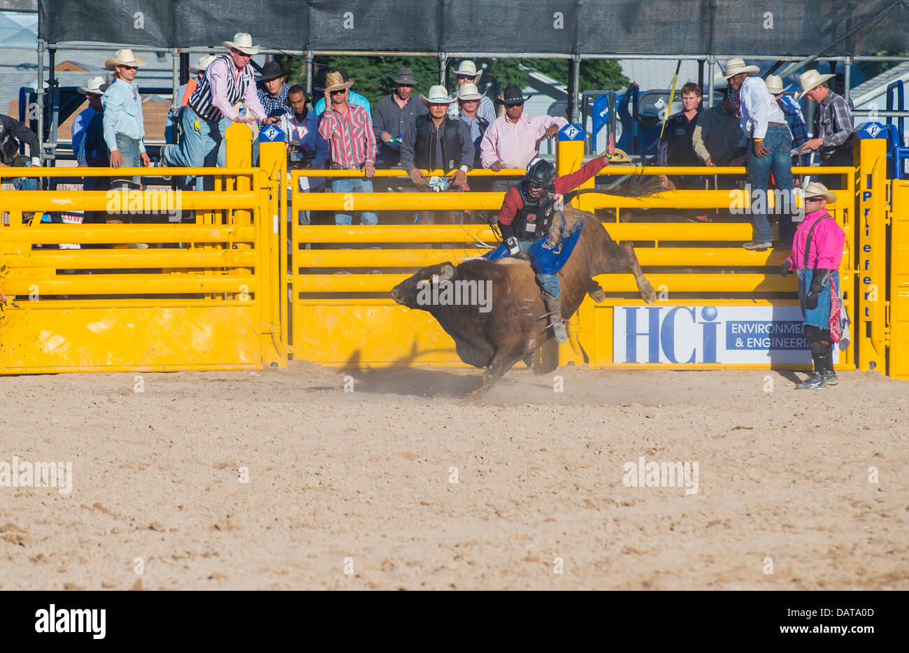 Cowboy Participant in a Bull riding Competition at the Helldorado Days ...