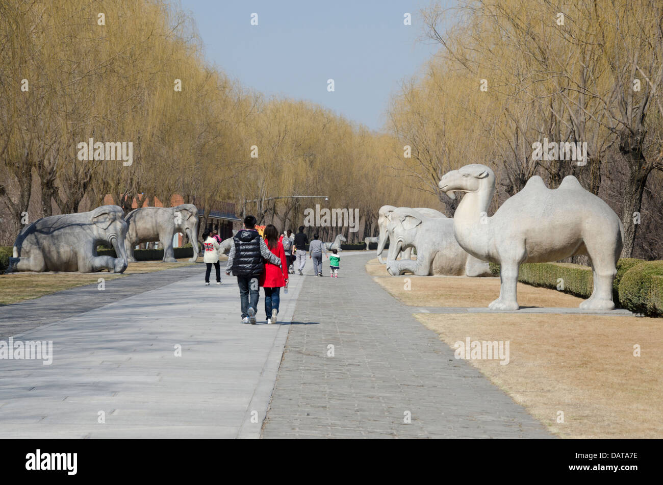 China, Beijing. Changling Sacred Way. 14th century Ming Dynasty tomb ...