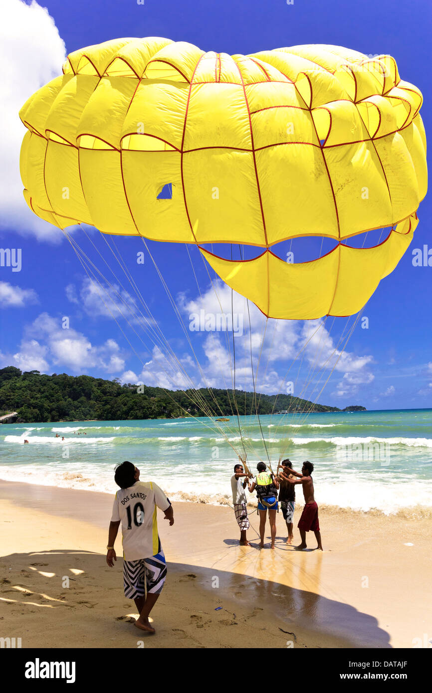 Trees with open canopy hi-res stock photography and images - Alamy