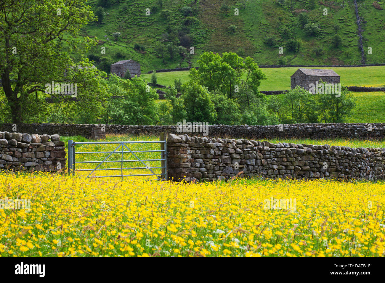 Dry stone wall gate hi-res stock photography and images - Alamy