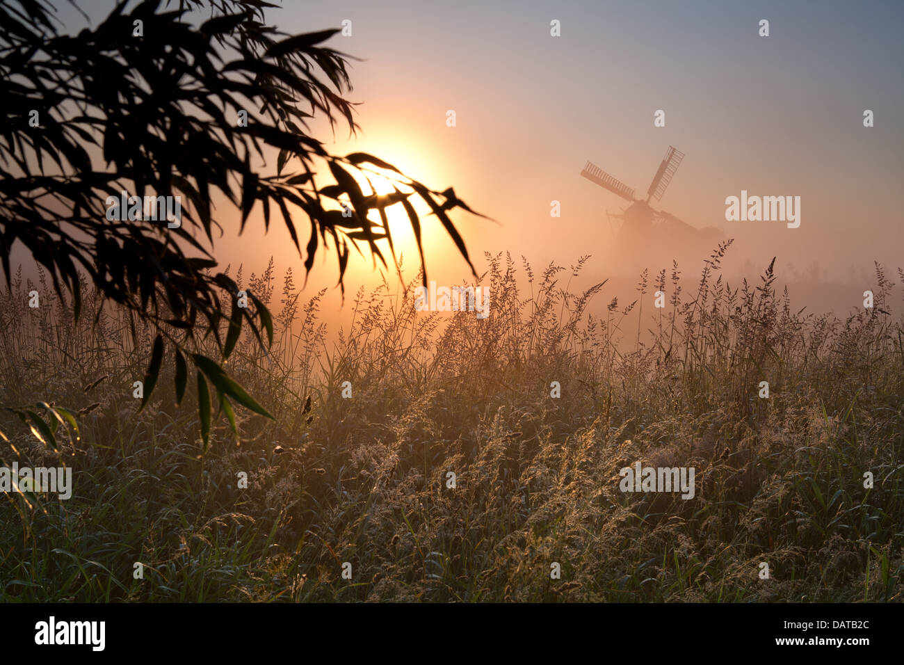 morning sunshine, windmill silhouette and fog, Groningen, Netherlands ...