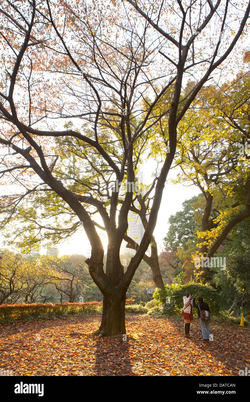 Shinjuku Gyoen National Garden Tokyo 2012 Stock Photo - Alamy