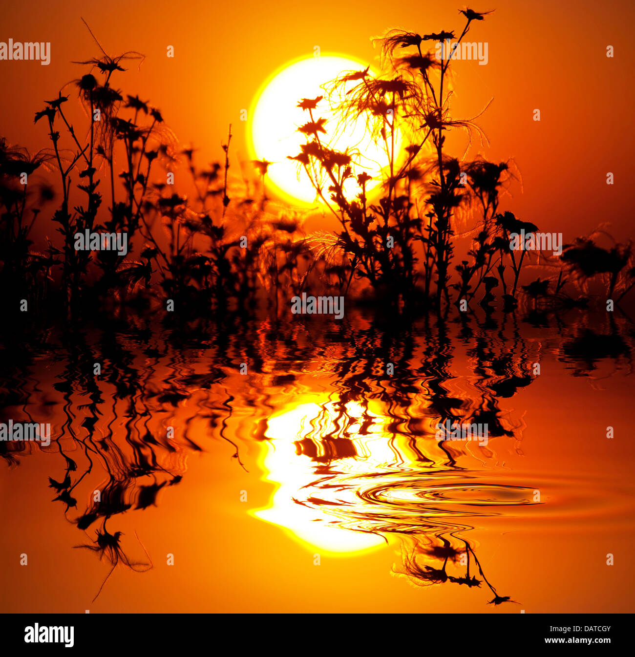 Beautiful color sunset hi-res stock photography and images - Alamy