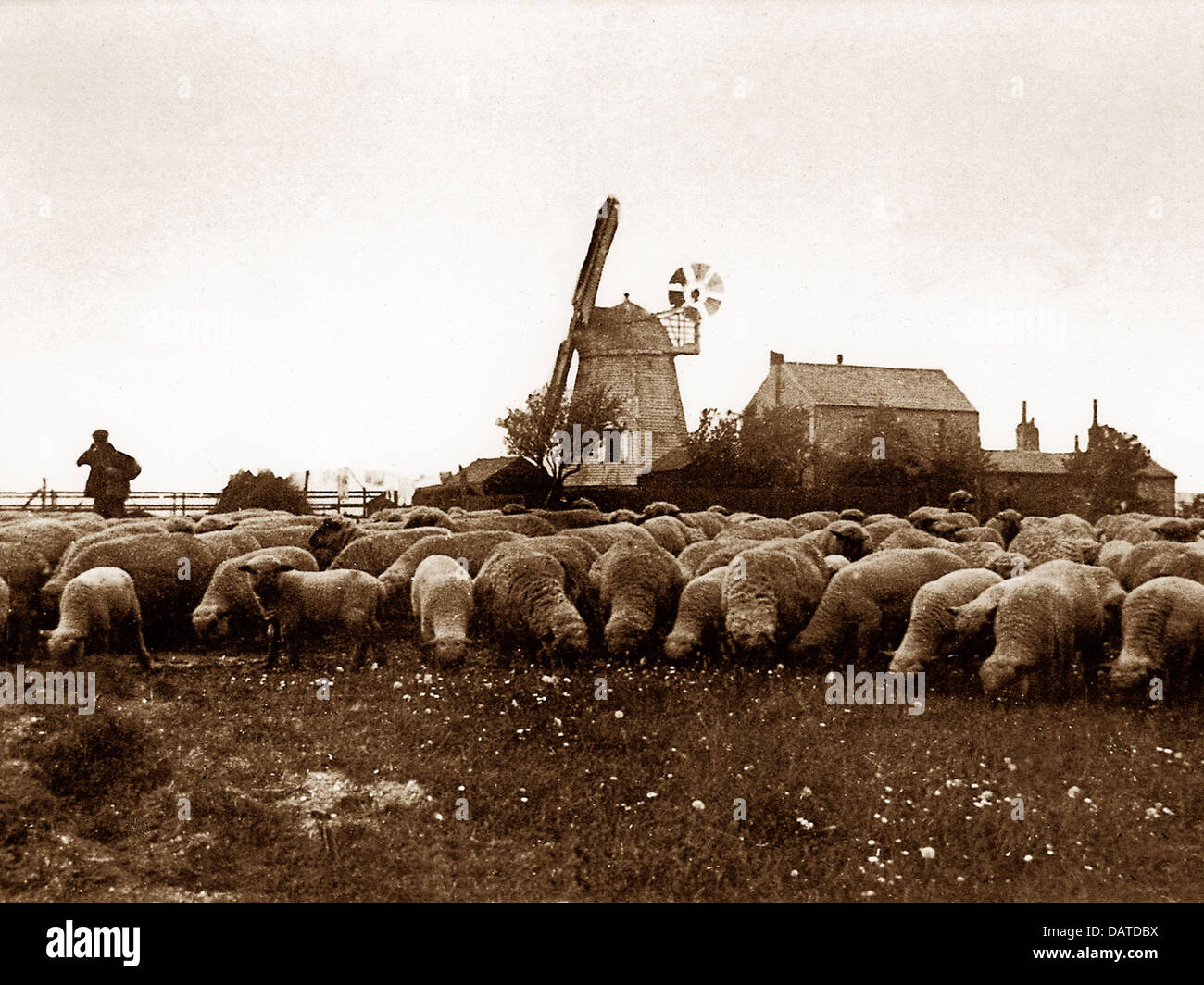 Biscot Windmill near Luton early 1900s Stock Photo - Alamy