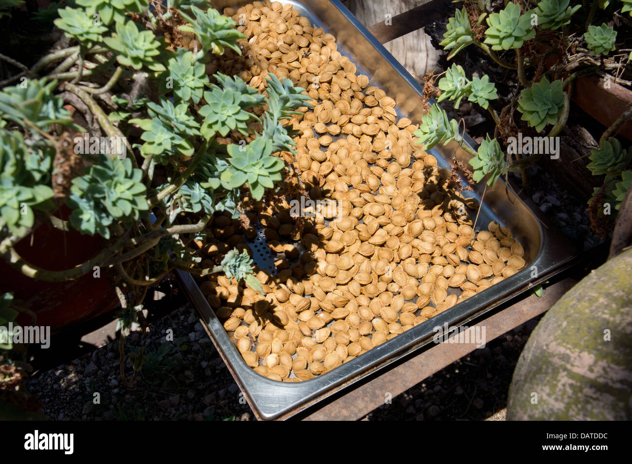 Sun driying hi-res stock photography and images - Alamy