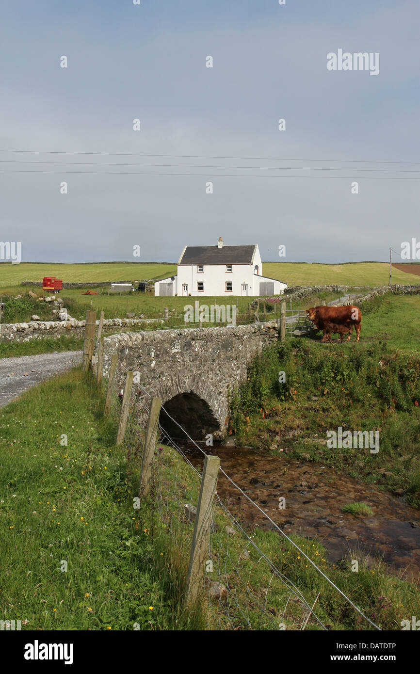 Farm at Kilchiaran Isle of Islay Scotland July 2013 Stock Photo - Alamy