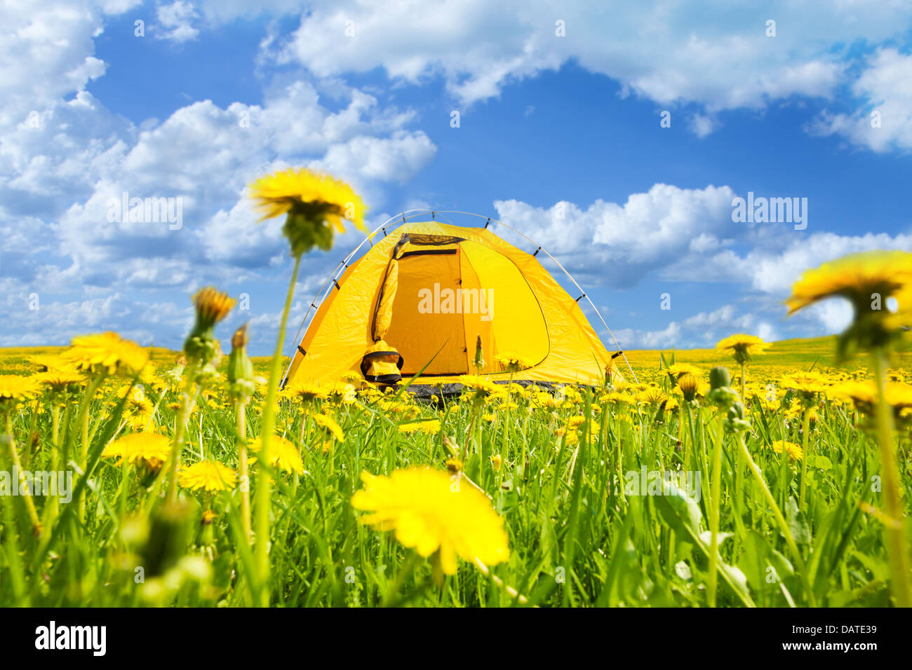 Yellow camp tent with dandelions on on foreground Stock Photo - Alamy