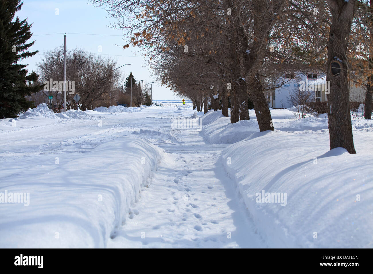 Winter in Saskatchewan Stock Photo - Alamy