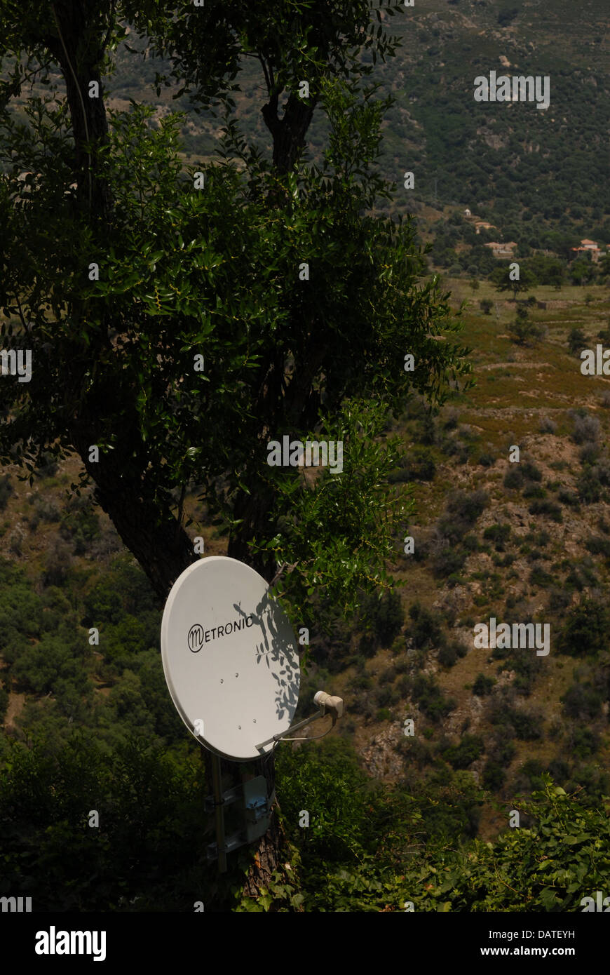 Satellite dish mounted in tree hi-res stock photography and images - Alamy