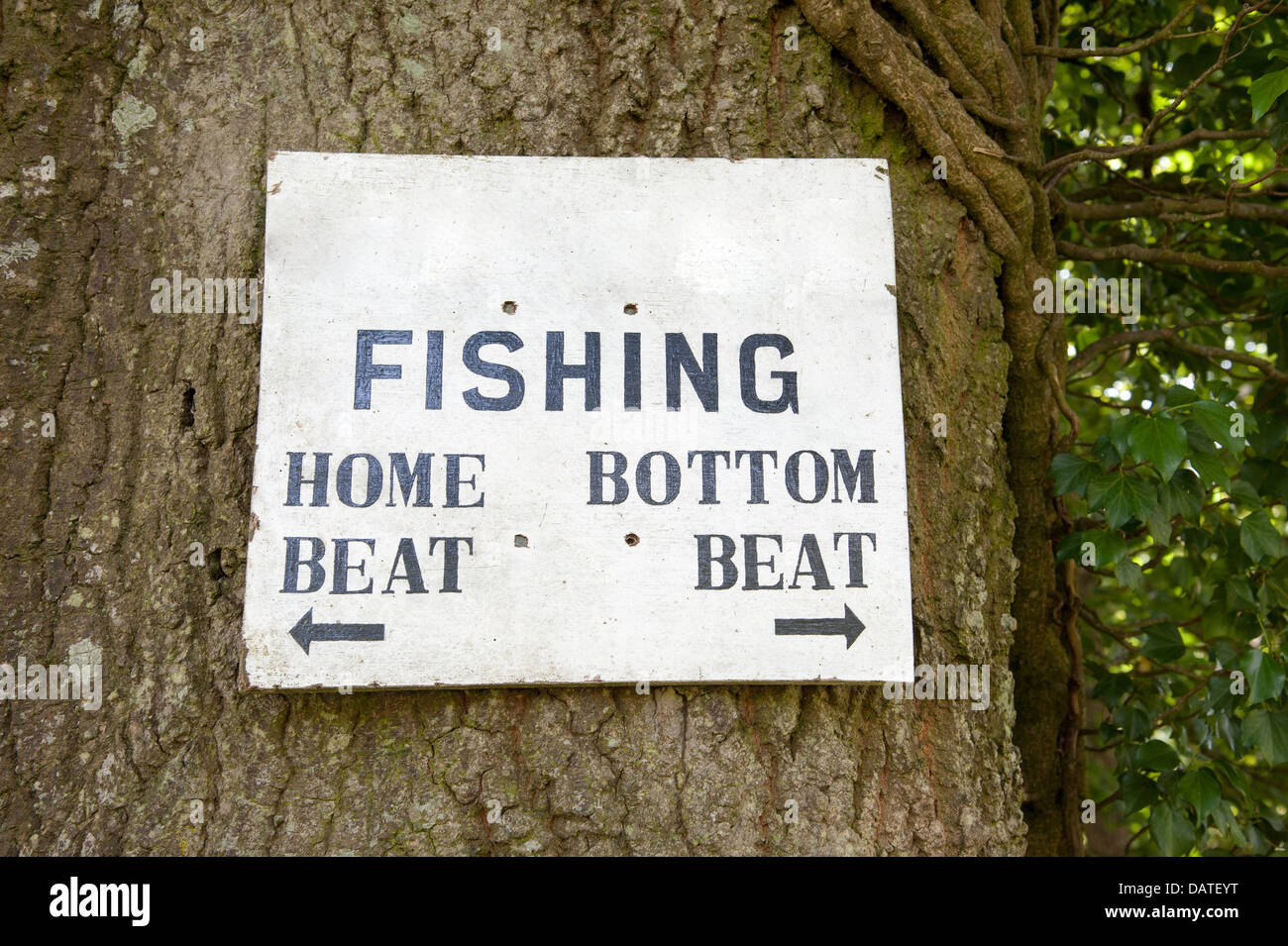 Fishing sign nailed to a tree Stock Photo - Alamy